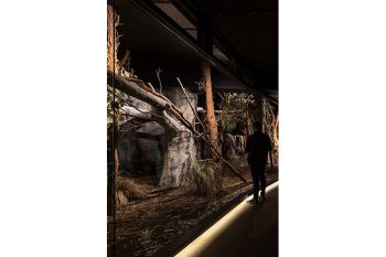 Taronga Zoo Upper Nocturnal House, Australia – darc awards