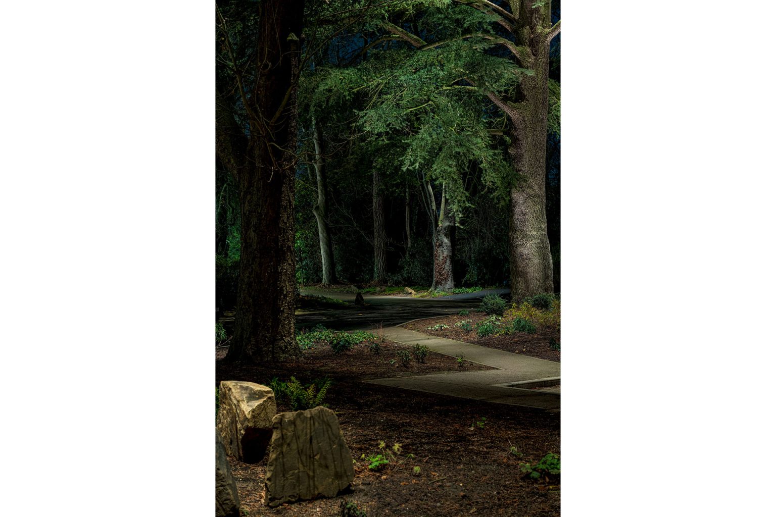Foxholes Entrance Gardens, UK – darc awards